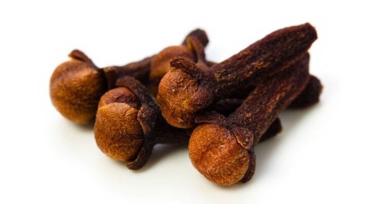 How to Prepare Cloves for Drinking | Safe Steep Steps